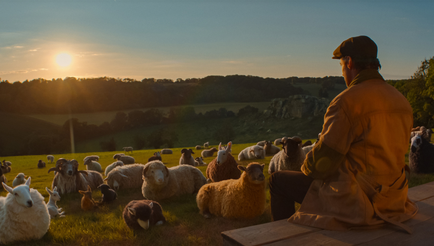 'The Sheep Detectives' Review - Script Magazine