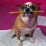 Why Spec Scripts Fail Failure To Do Your Homework Part 4 - Script Magazine