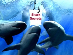 BREAKING & ENTERING: Shark Secrets to Sharpen Your Writing